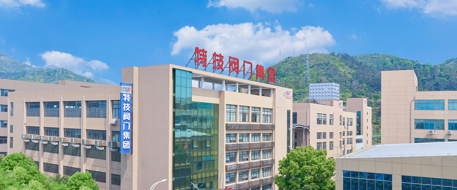 Profile - TEJI Valve focusing on designing and manufacturing of ...